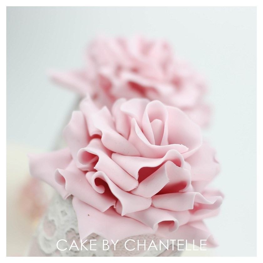 Mini Cakes 2,8 Inch X 2 Inch - CakeCentral.com