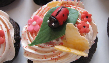 Eric Carle Cupcakes - CakeCentral.com