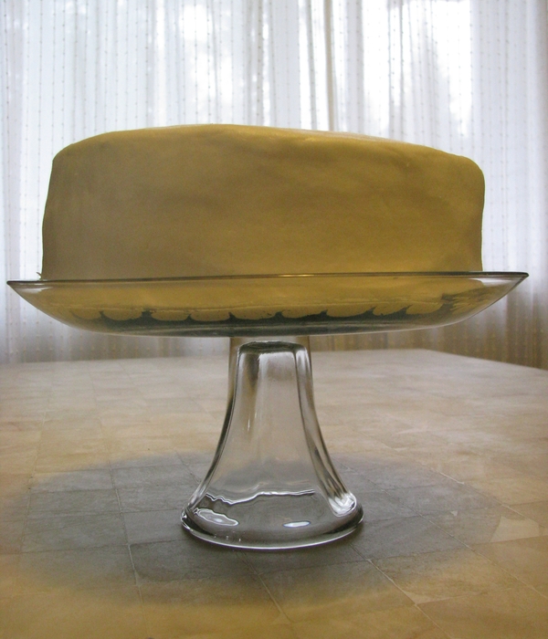 Viva Paper Towel Method Cake Decorating Photos viva-paper-towel-method-cake-decorating-photos