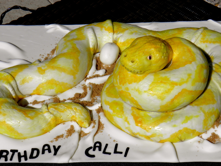 Albino Retriculated Python - CakeCentral.com