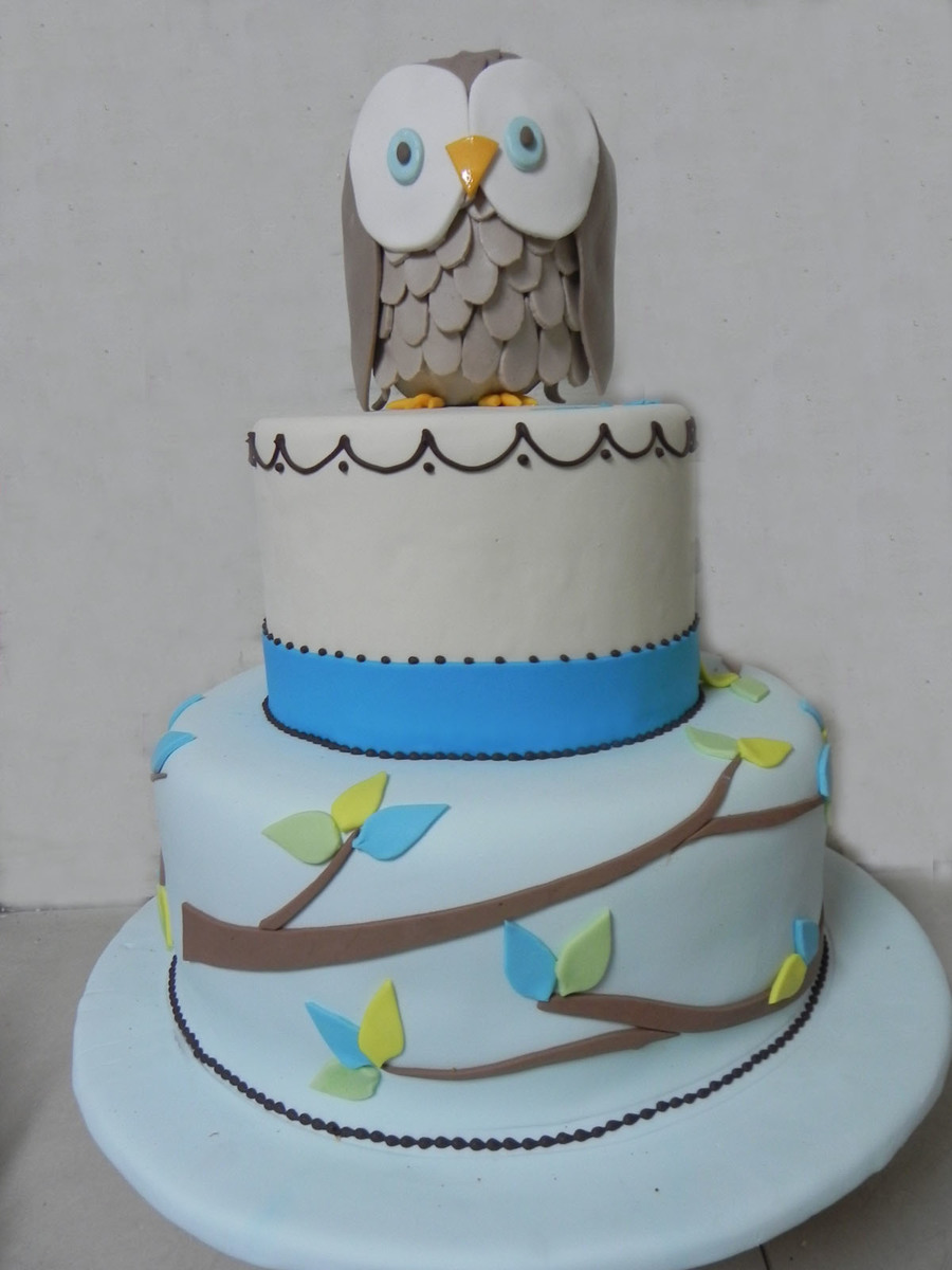 Owls - CakeCentral.com