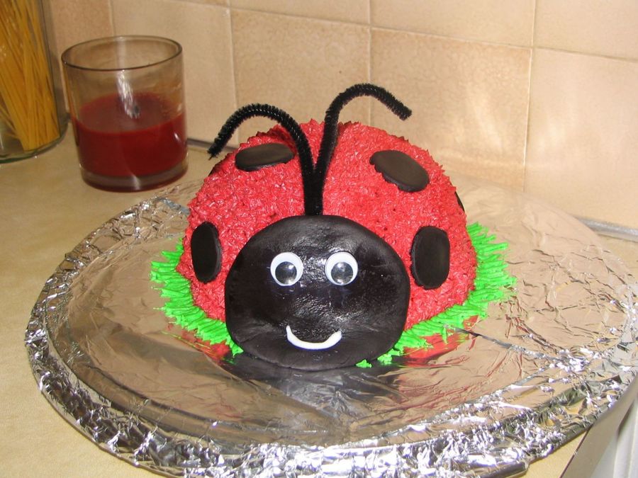Ladybug Cake - CakeCentral.com