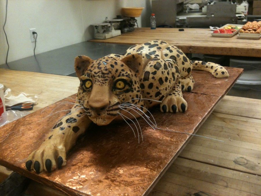 Leopard - CakeCentral.com
