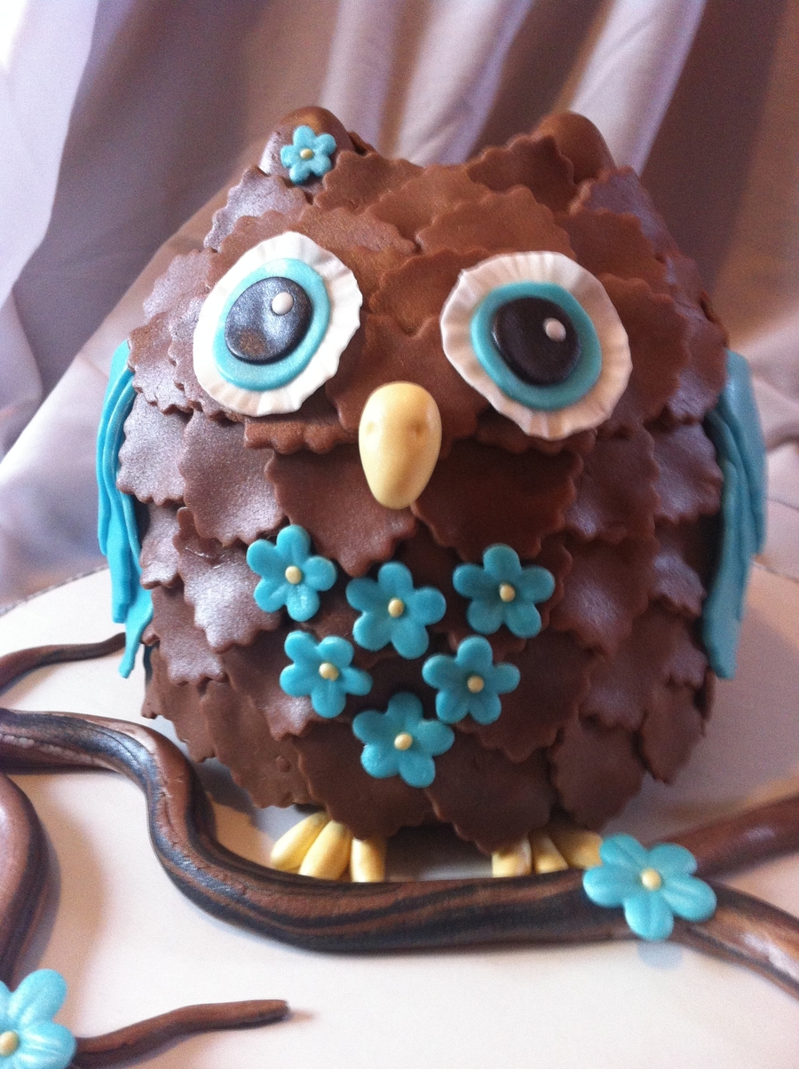 Owl Cake - CakeCentral.com
