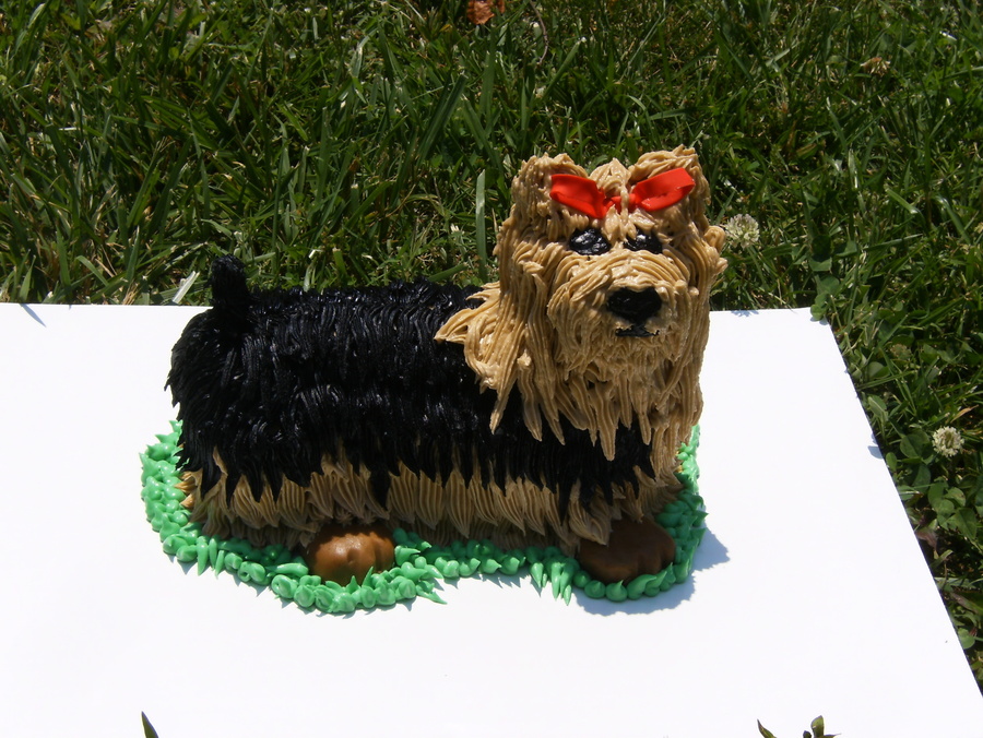 Yorkshire Terrier - CakeCentral.com
