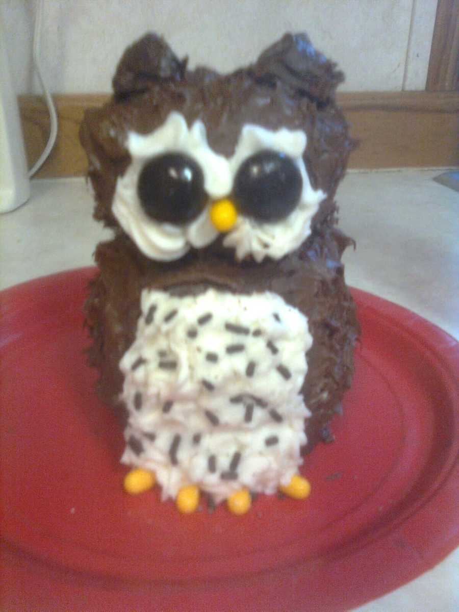 Owl Cake - CakeCentral.com
