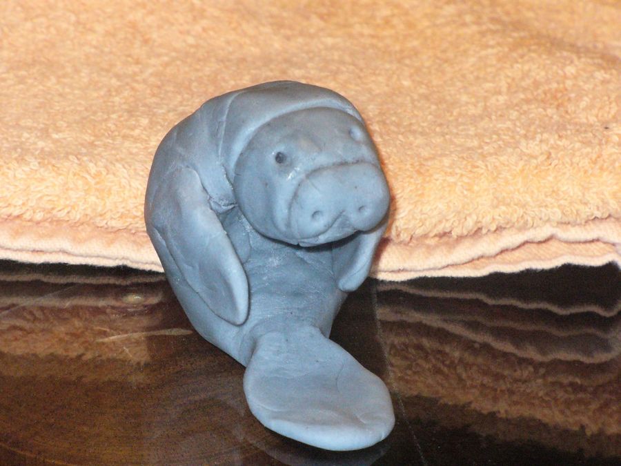 Manatee - CakeCentral.com