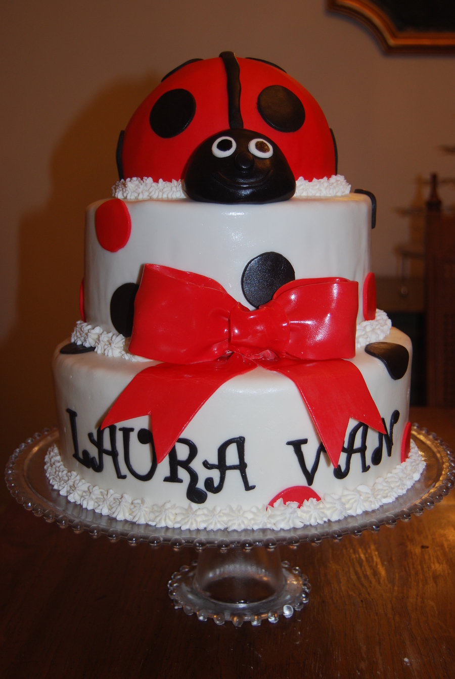 Ladybug Cake - CakeCentral.com