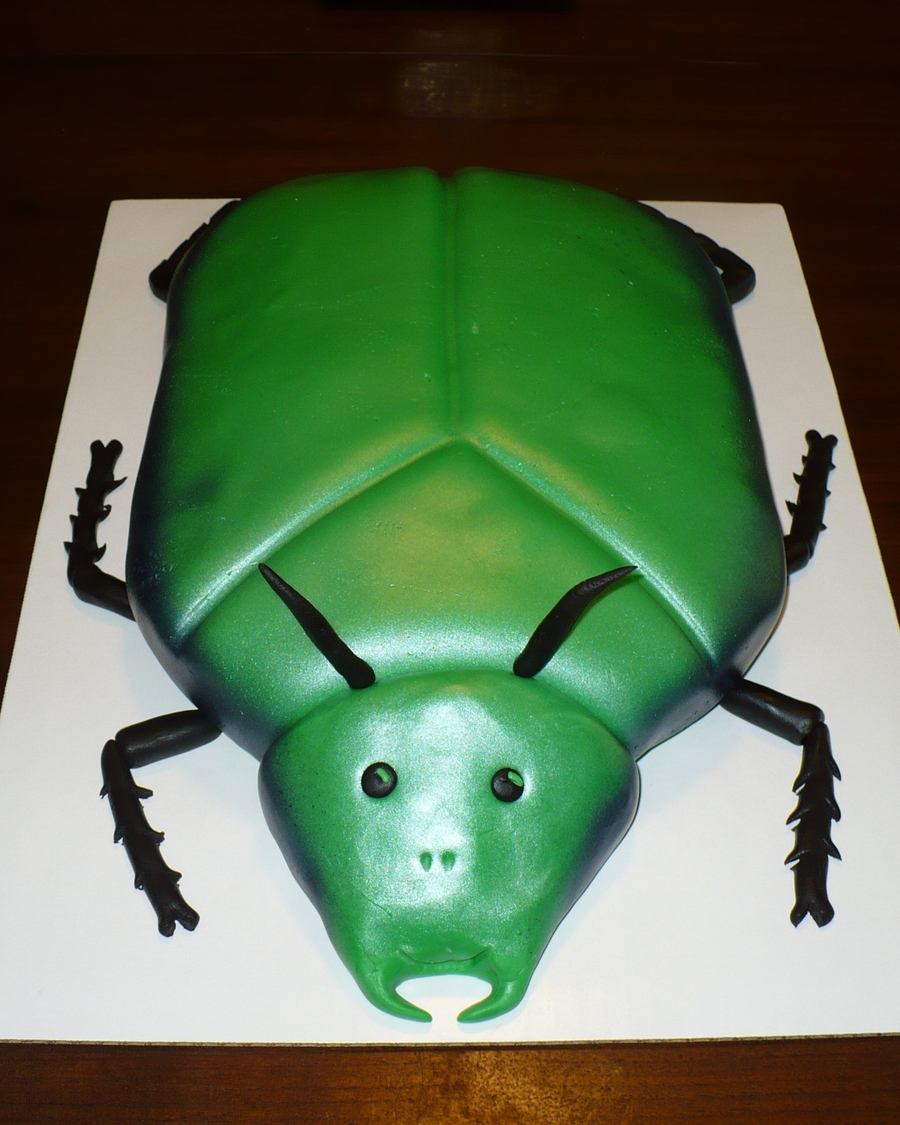 June Bug Cake - CakeCentral.com