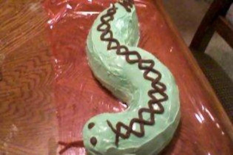 Snake - CakeCentral.com