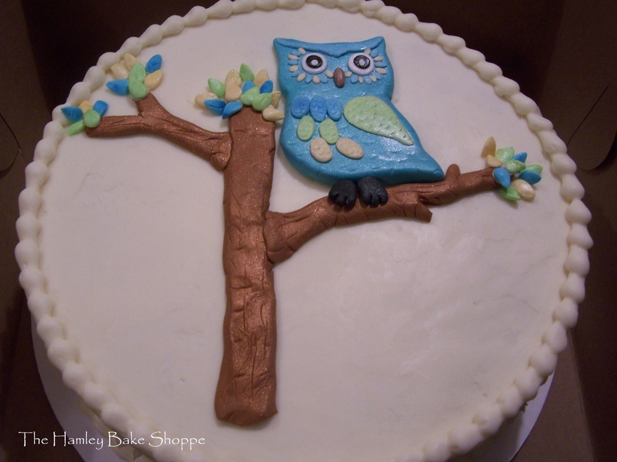 Owl Cake - CakeCentral.com