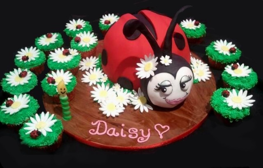 Lady Beetle 1St Birthday Cake - CakeCentral.com