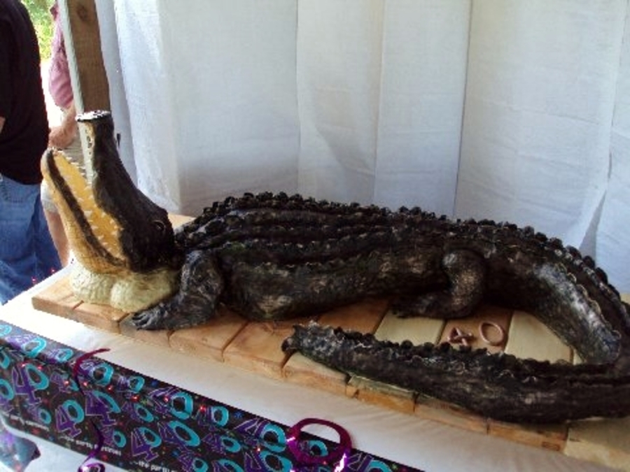 8' Gator Cake - CakeCentral.com