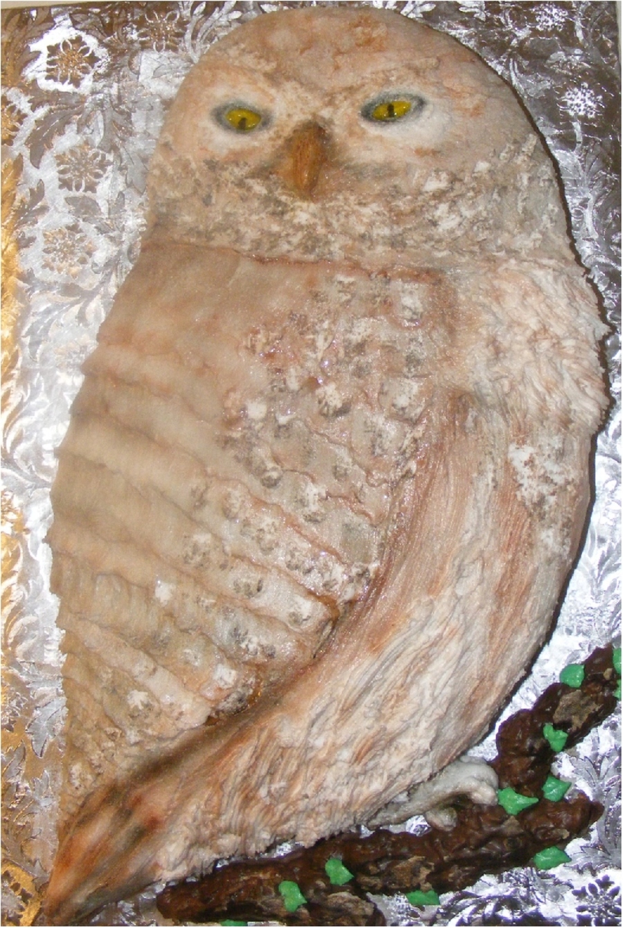 Owl - CakeCentral.com