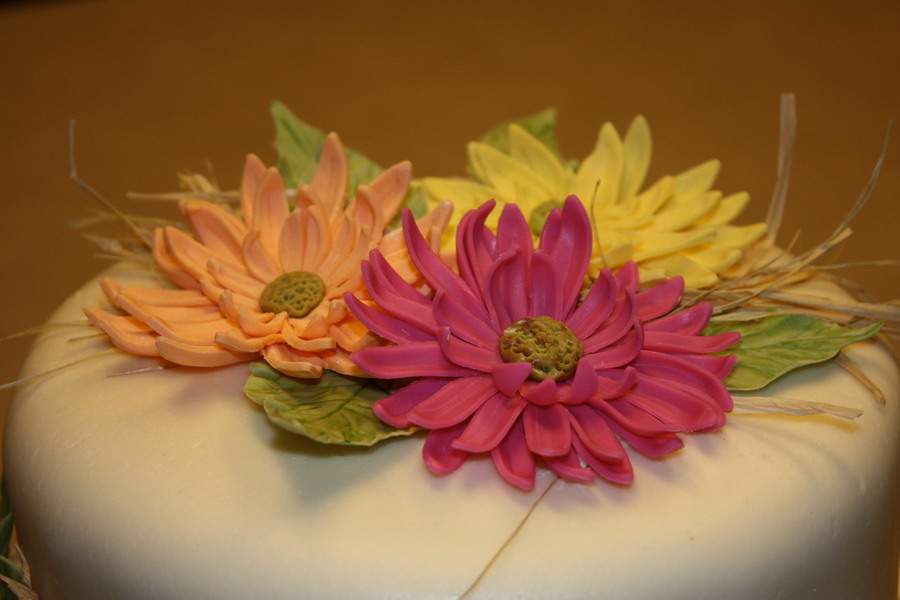 Country Chic - CakeCentral.com