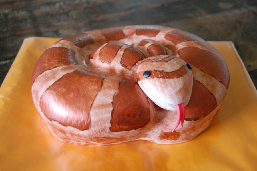 Snake - CakeCentral.com
