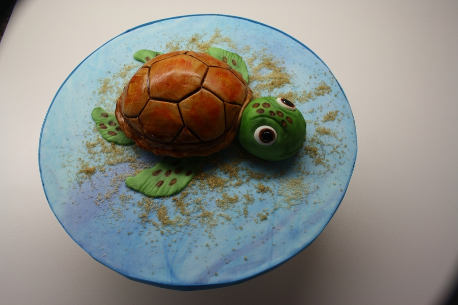 Turtle - CakeCentral.com