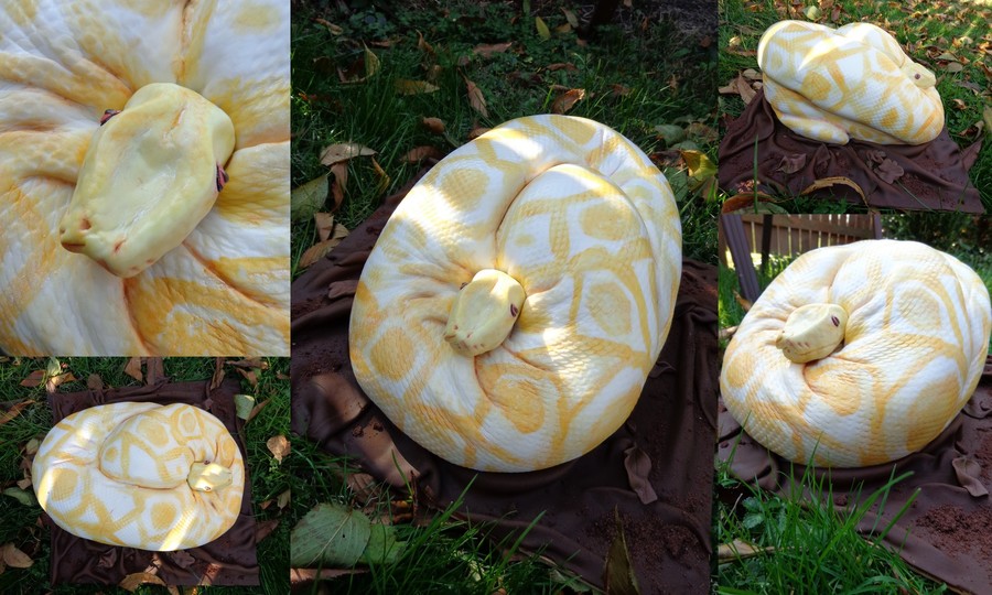 3D Albino Python Cake - CakeCentral.com