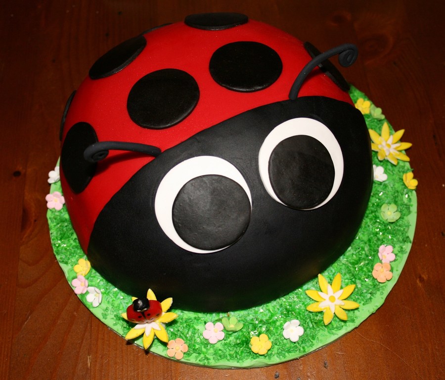 Ladybird - CakeCentral.com