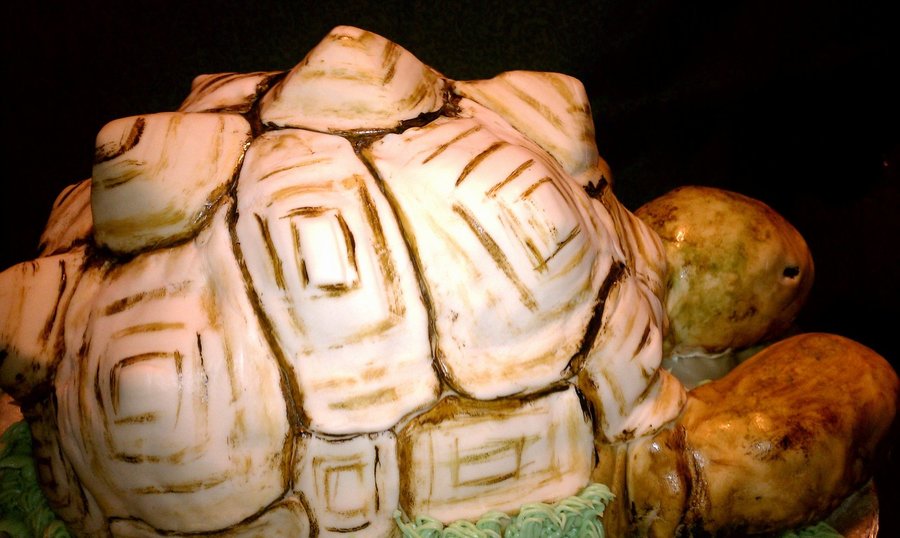Tortoise Cake - CakeCentral.com