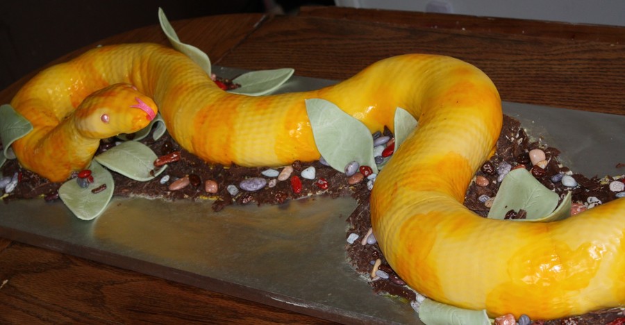 Python - CakeCentral.com