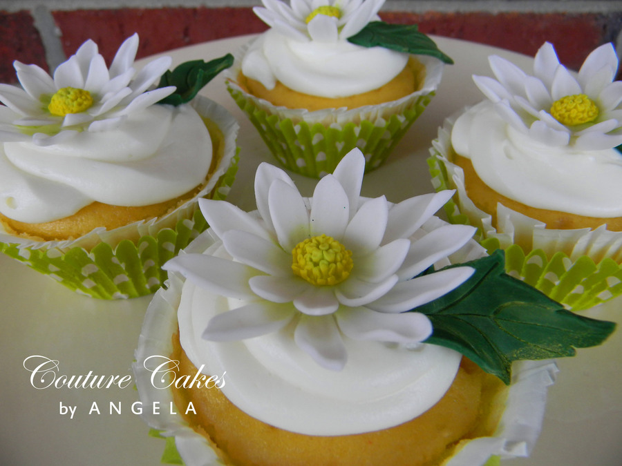 Daisy Cupcakes - CakeCentral.com