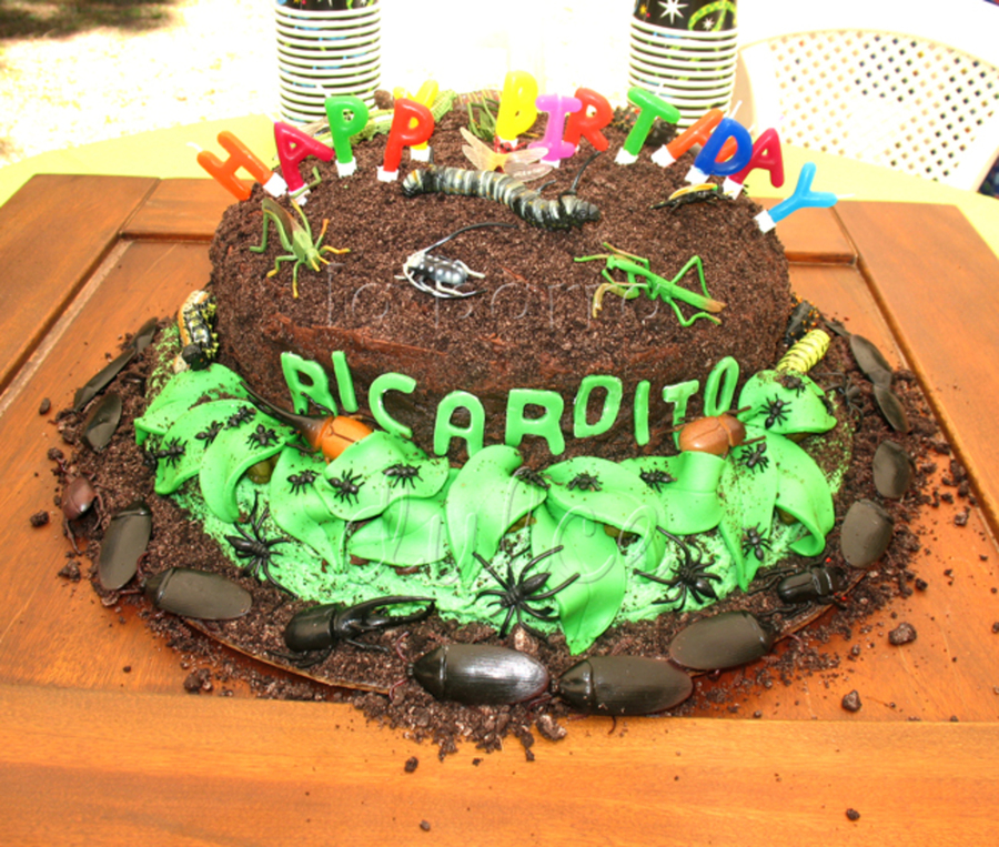 Bugs & Roaches Cake Pastel Insectos Guatemala - CakeCentral.com