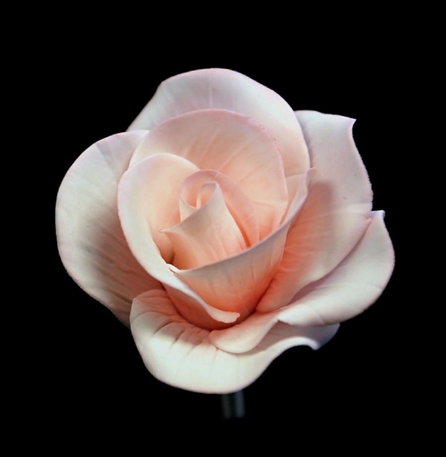 Full Rose - CakeCentral.com