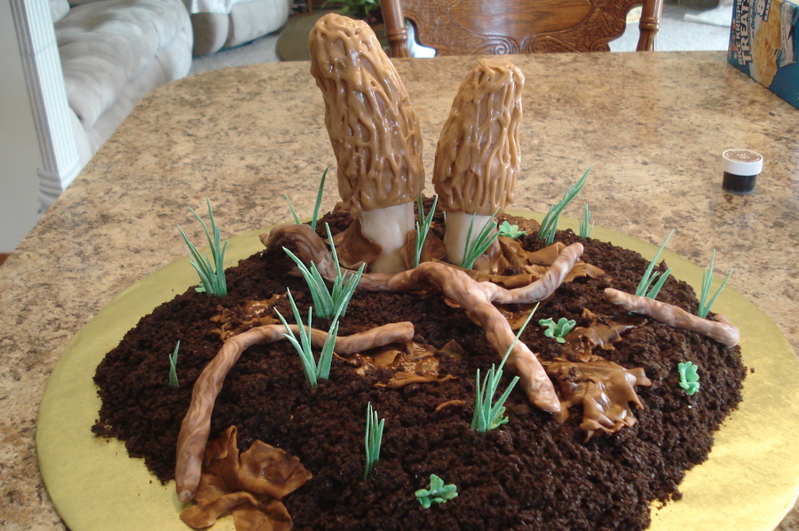 Moral Mushrooms - CakeCentral.com