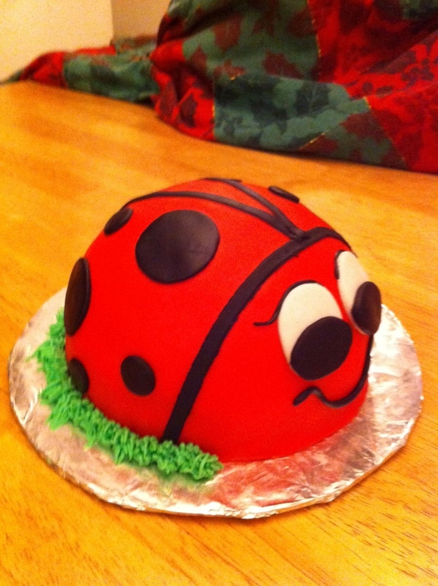 Ladybug Birthday Cake - CakeCentral.com