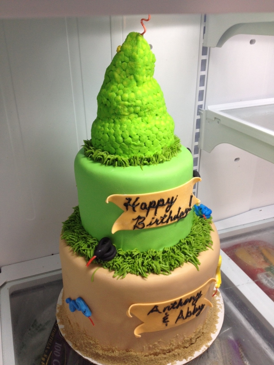 Snakes Cake - CakeCentral.com
