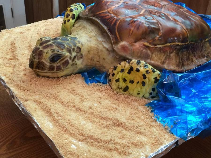 Turtle Cake - CakeCentral.com