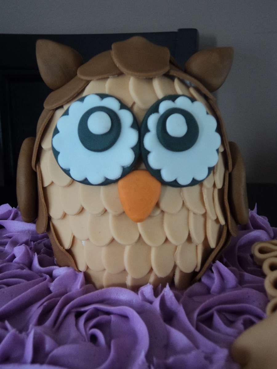 Owl Cake - CakeCentral.com
