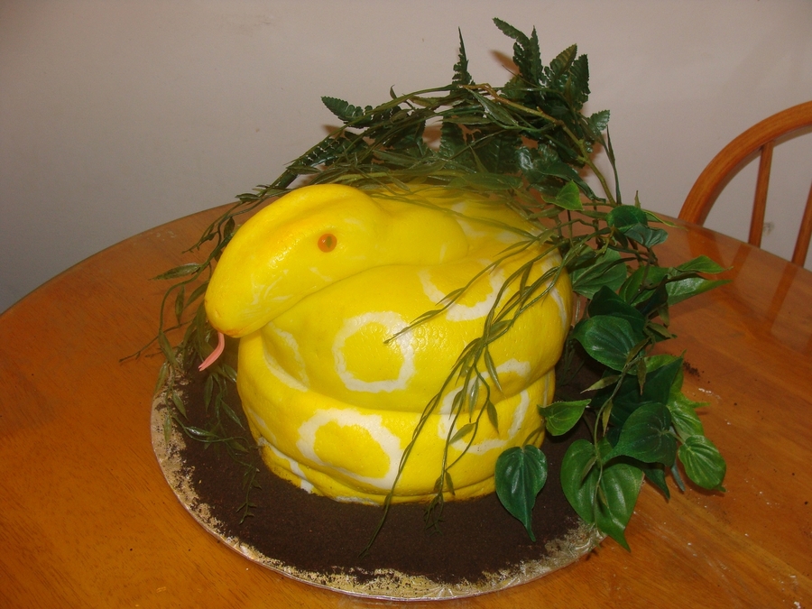 Burmese Albino Python Cake - CakeCentral.com