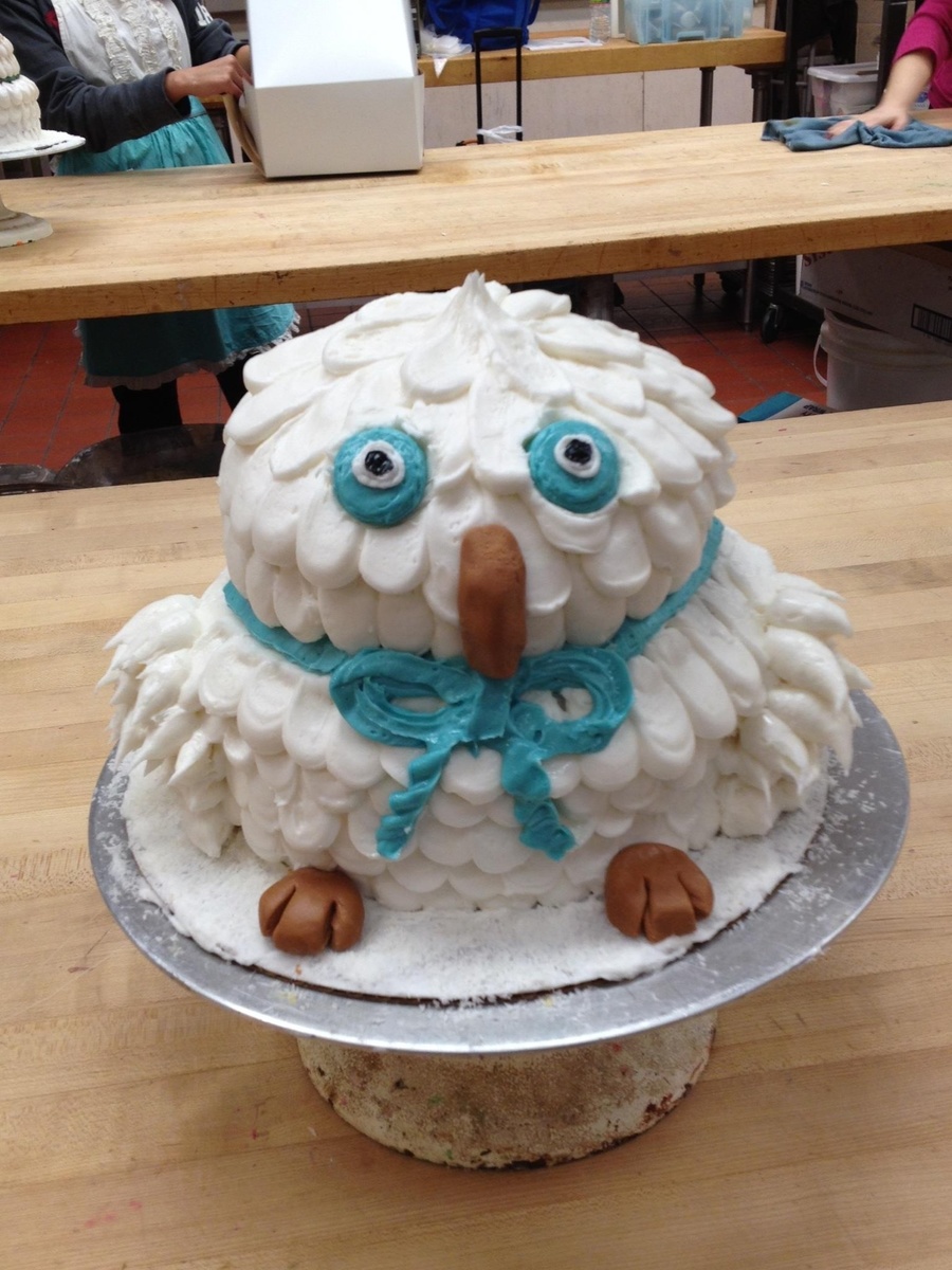 Owl Cake - CakeCentral.com