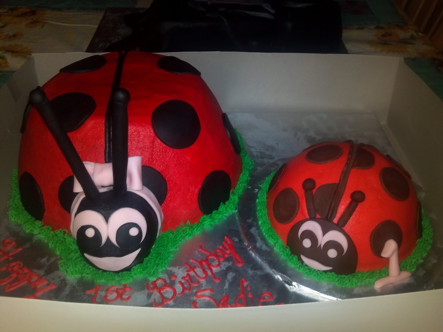 Lady Bugs - CakeCentral.com