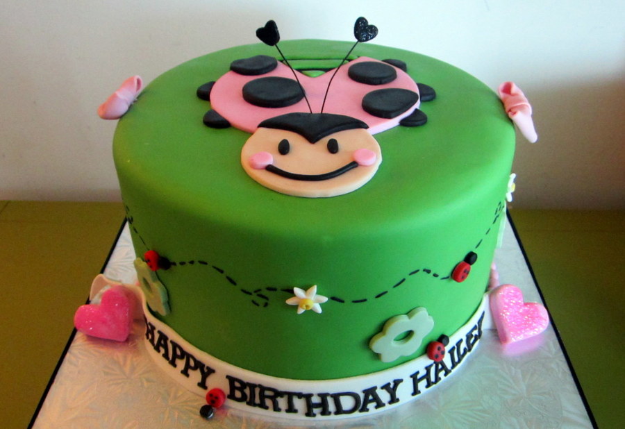 Ladybug Cake - CakeCentral.com