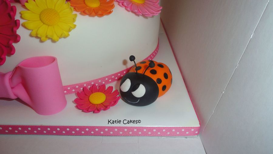 Daisy And Ladybugs First Birthday Cake - CakeCentral.com