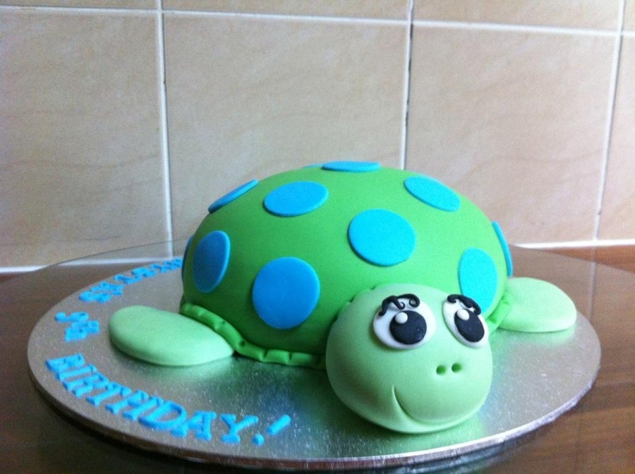 Turtle Cake - CakeCentral.com