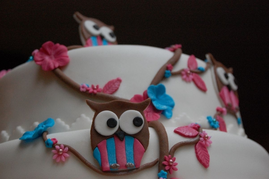 Owl Cake - CakeCentral.com