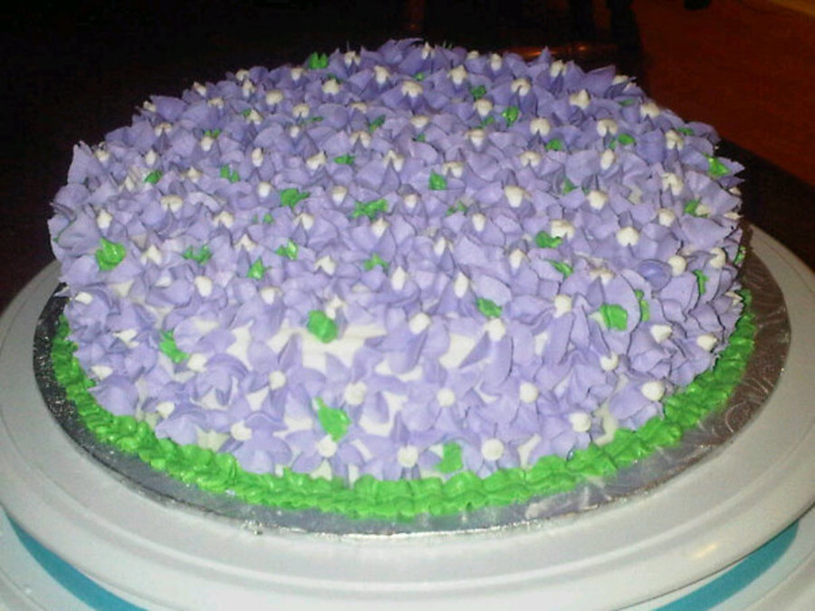 Wilton Cake Class - Second Cake! - CakeCentral.com