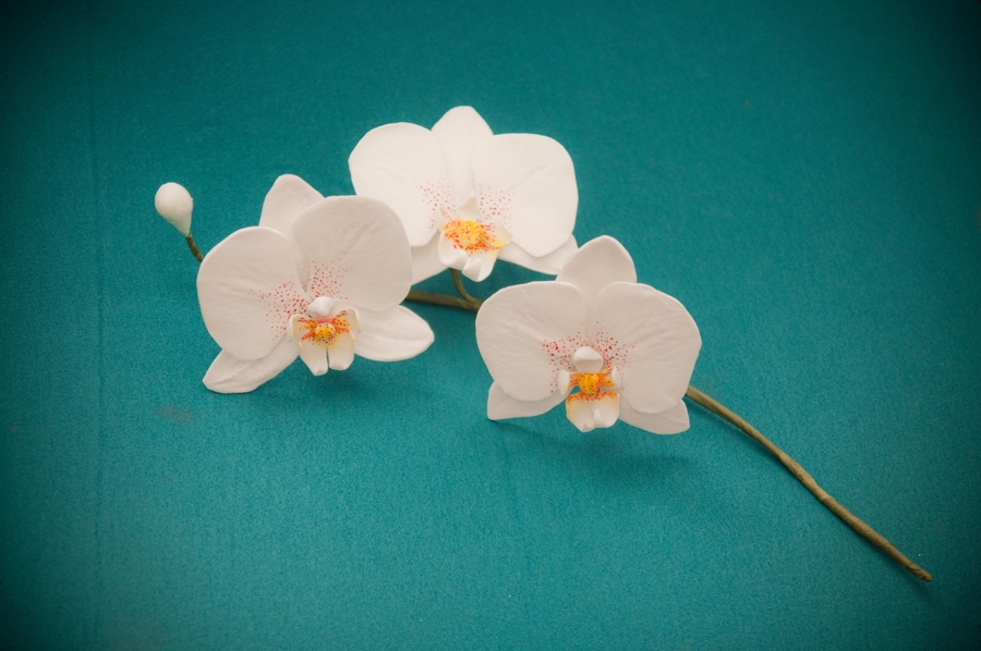 Moth Orchids - CakeCentral.com