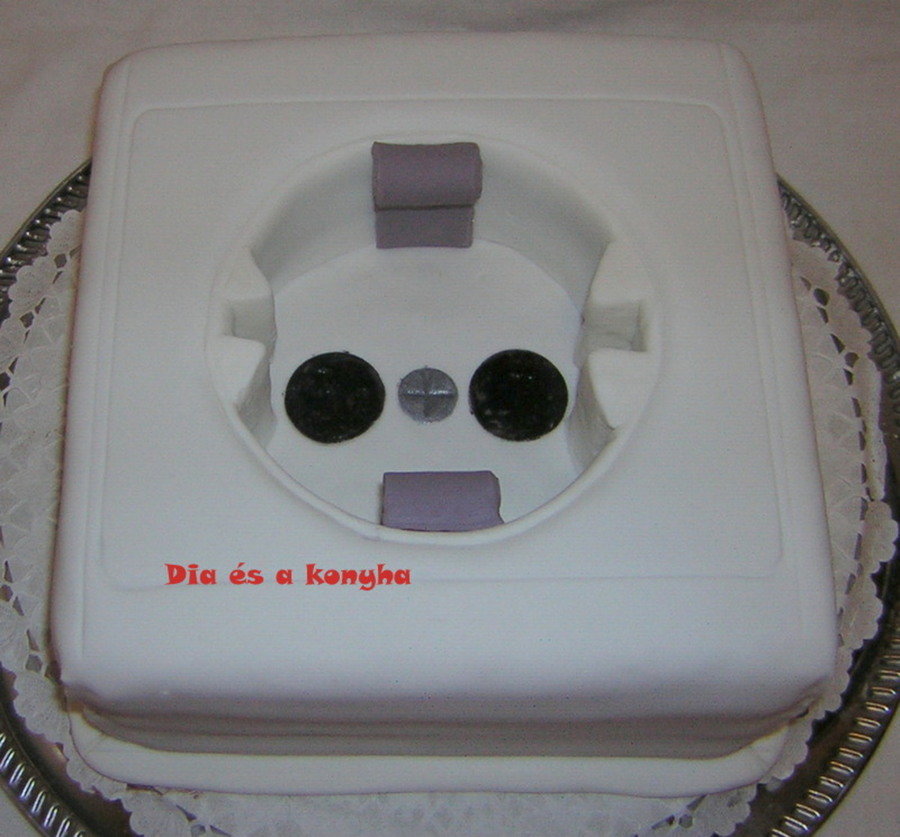Socket Cake - CakeCentral.com