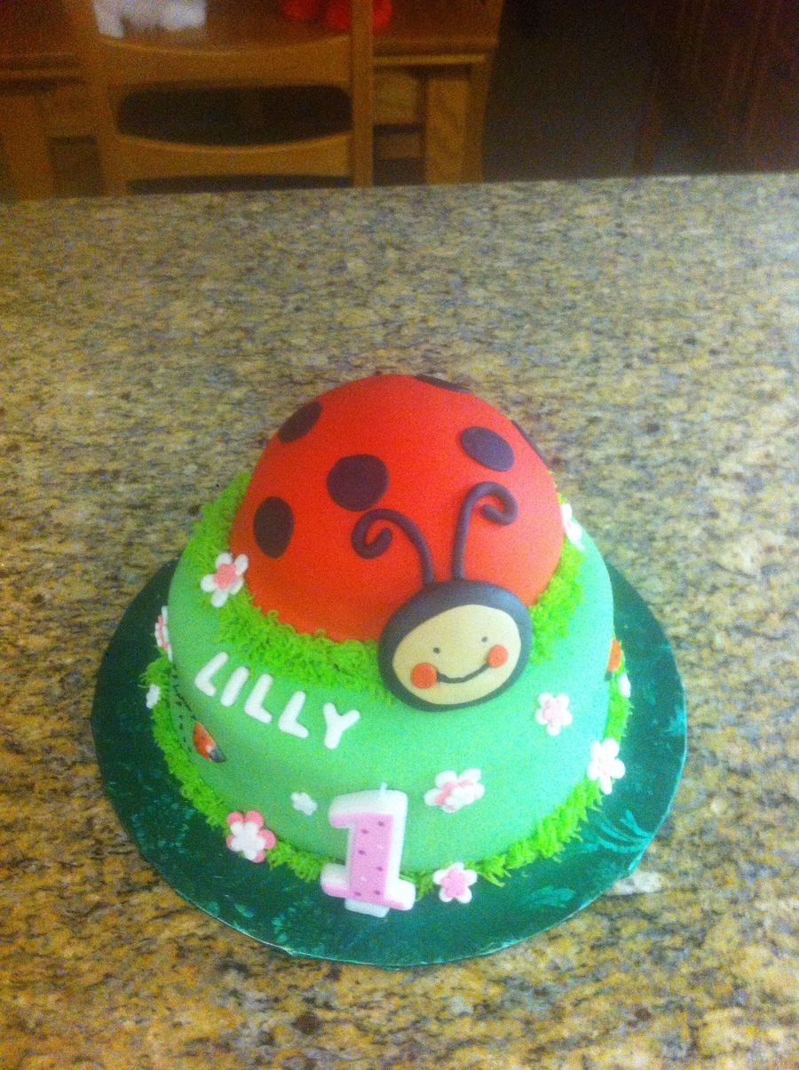 Ladybug Cake - CakeCentral.com