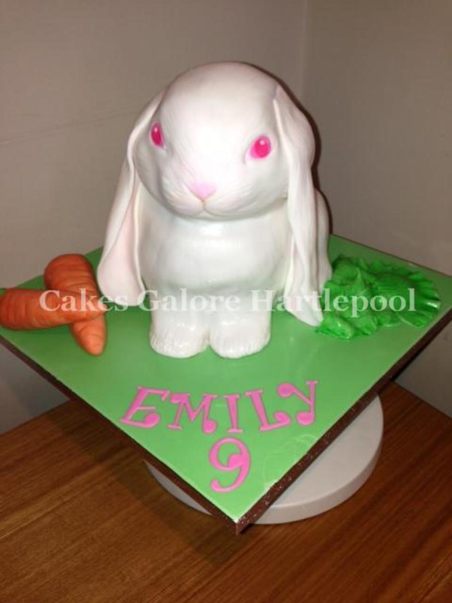 3D Bunny Cake - CakeCentral.com
