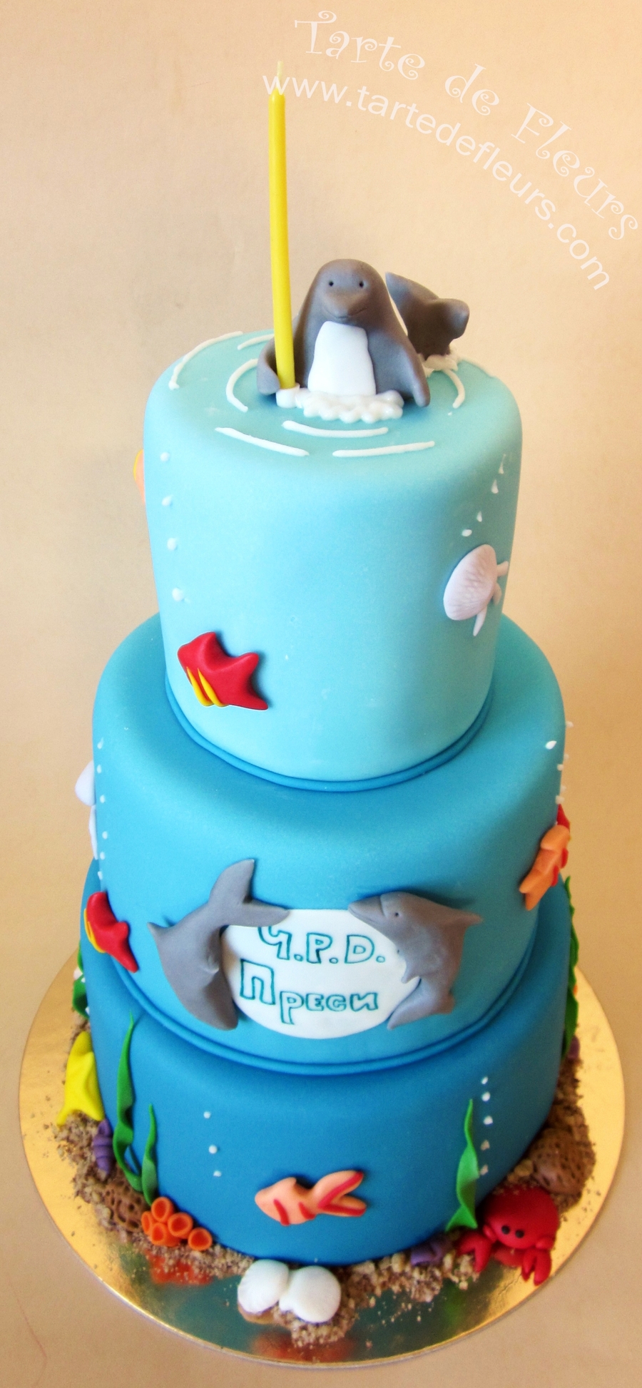 Dolphins Cake - CakeCentral.com