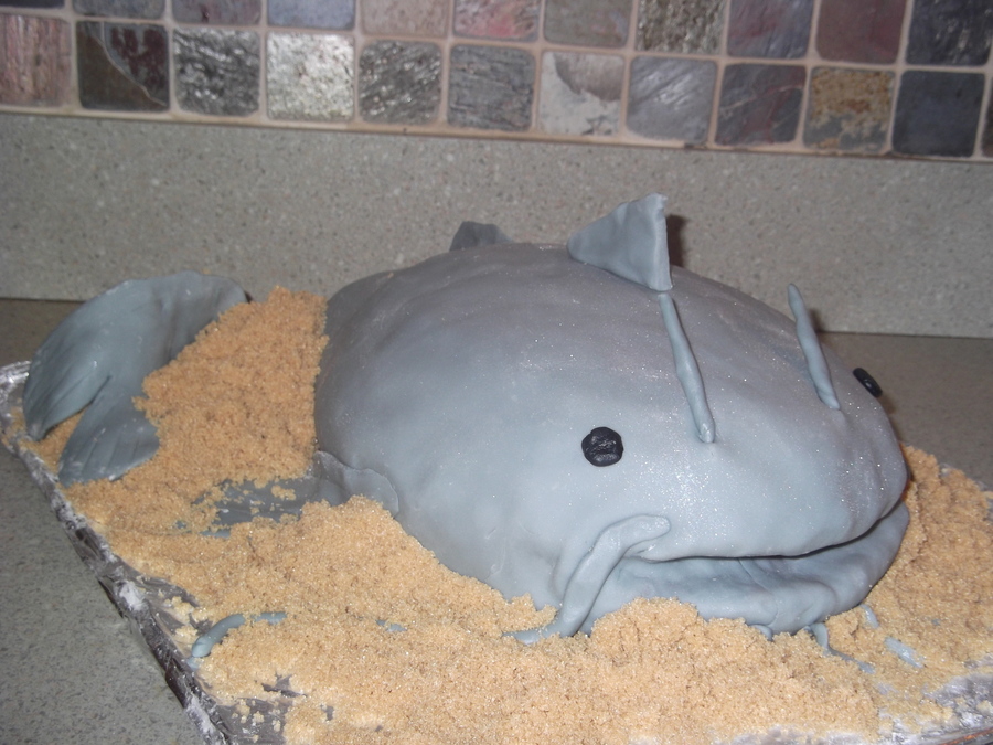 Cat Fish - CakeCentral.com