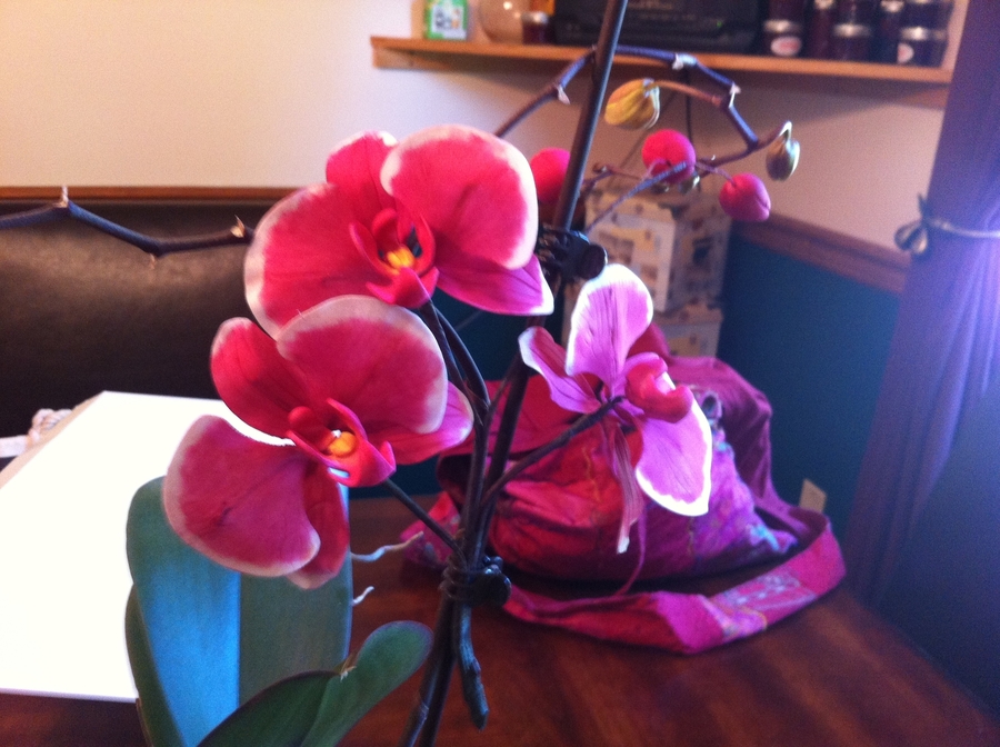 Moth Orchid - CakeCentral.com