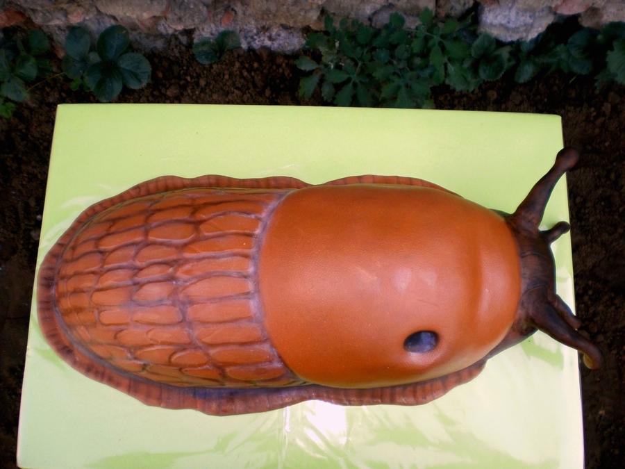 Slug - CakeCentral.com