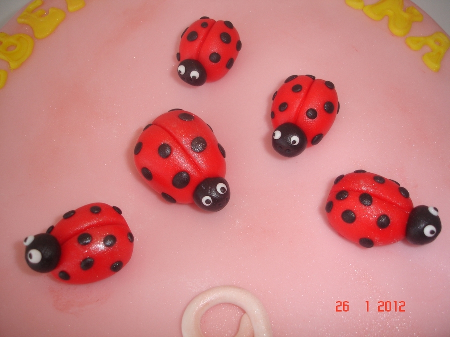 Ladybug Cake - CakeCentral.com